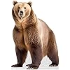 Amazon.com: Bear - Life Size Cardboard Cutout Standup People with ...