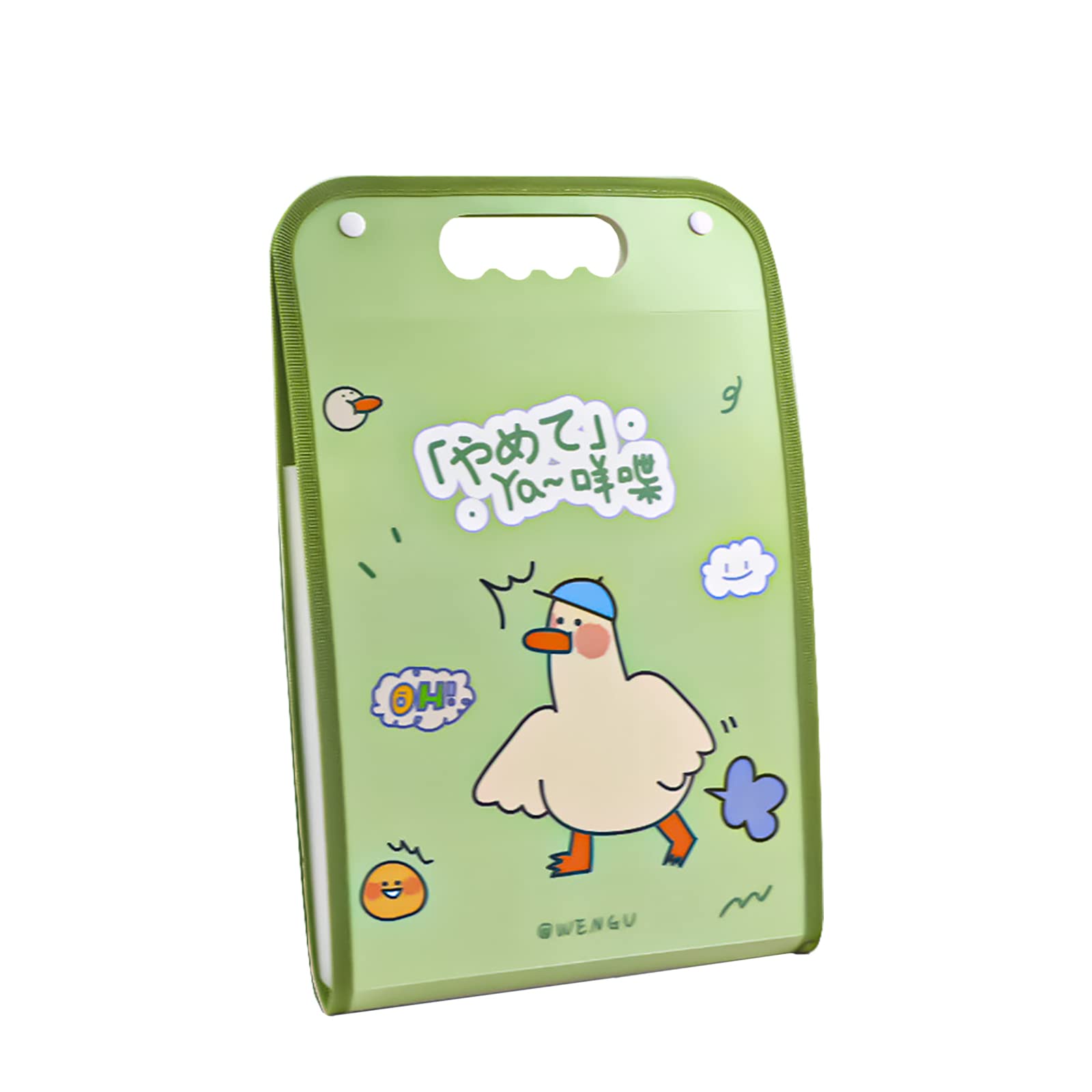 Amazon.com : Cute Accordion File Organizer 13 Pockets Green Expanding ...