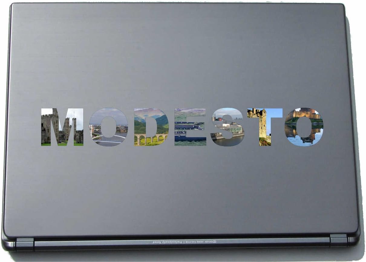 Amazon.com: Modesto Laptop Sticker Laptop Skin 290 mm with sights ...