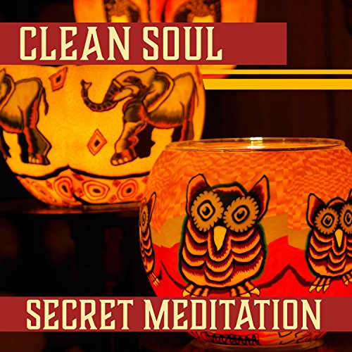 Amazon.com: Clean Soul: Secret Meditation – Purification with Nature ...