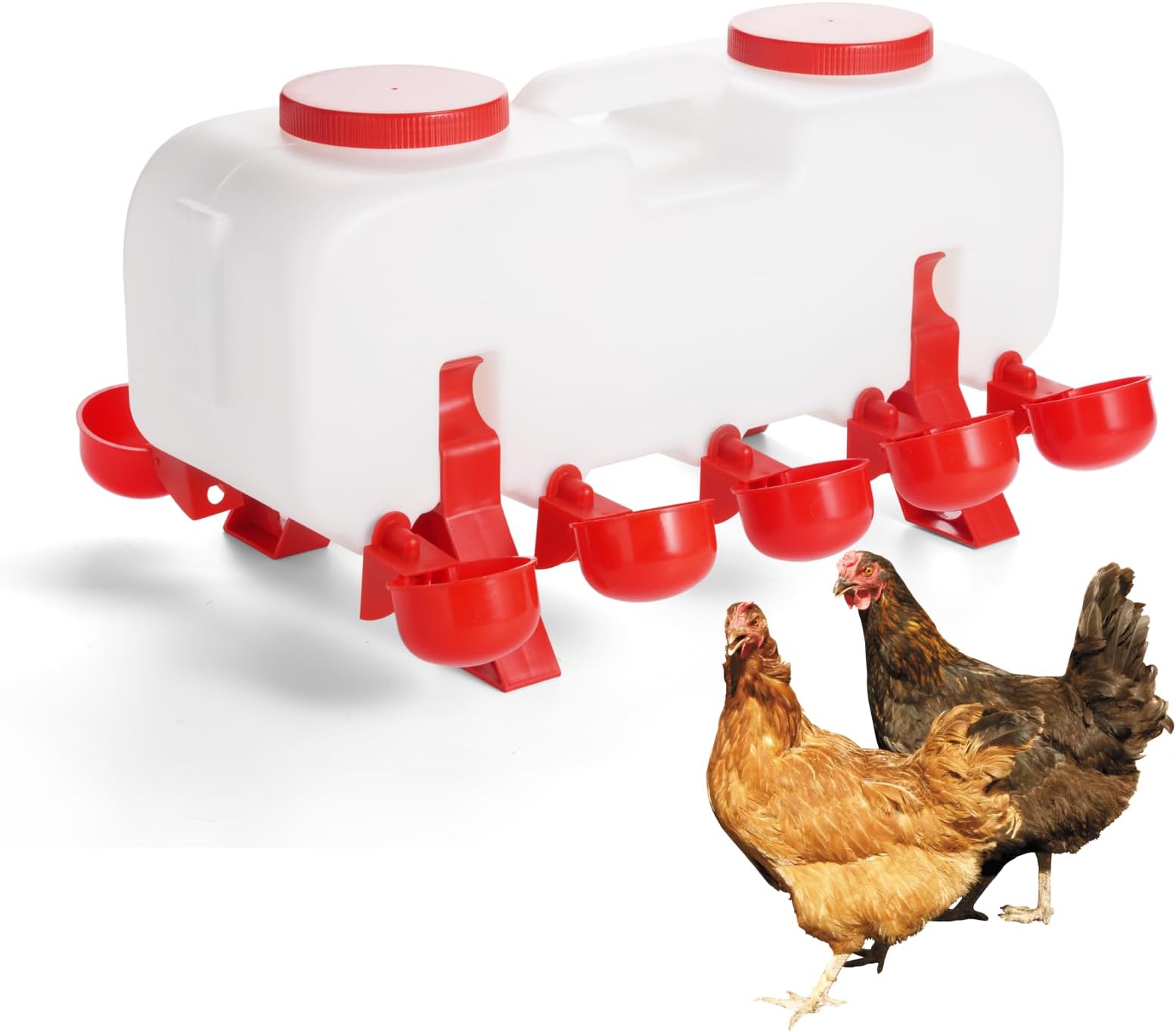 Amazon.com: Lilyang Float-Controlled Automatic Chicken Waterer for ...