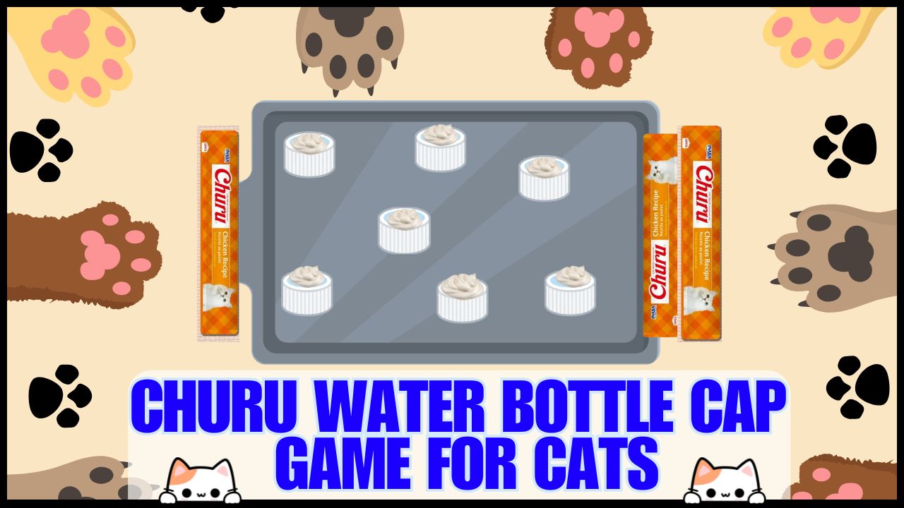 Watch Churu Water Bottle cap Game For Cats #founditonamazon #pets #cats ...
