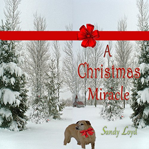 Amazon.com: A Christmas Miracle (Audible Audio Edition): Sandy Loyd ...