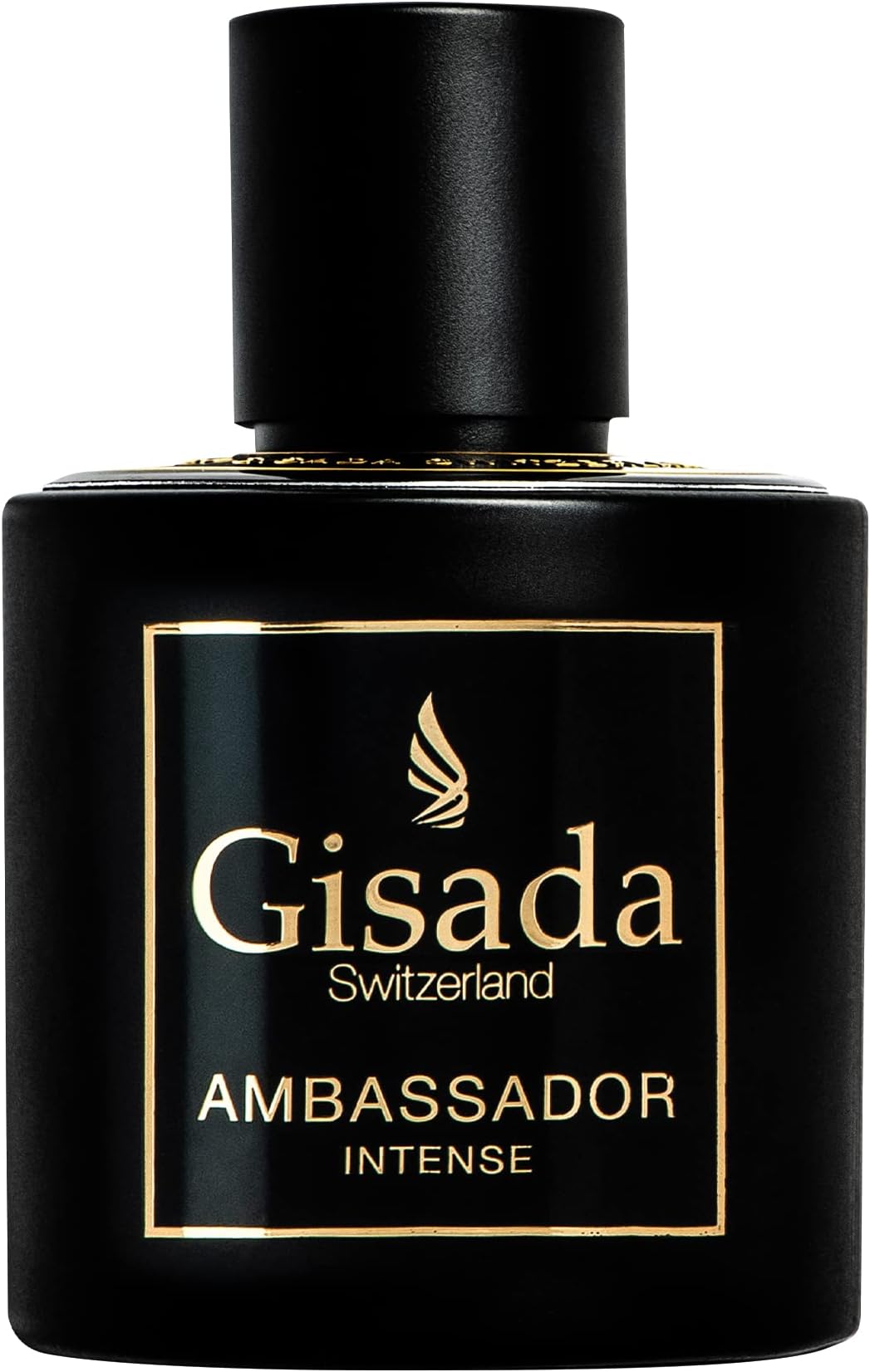 Amazon.com : Gisada Ambassador Intense Cologne for Men - Perfume for ...