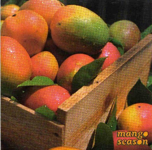 Mango Season: Mango Season: Amazon.ca: Music