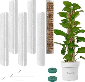Vicloon Plastic Moss Poles, 2PCS Moss Pole, 24inch Plant Poles for ...