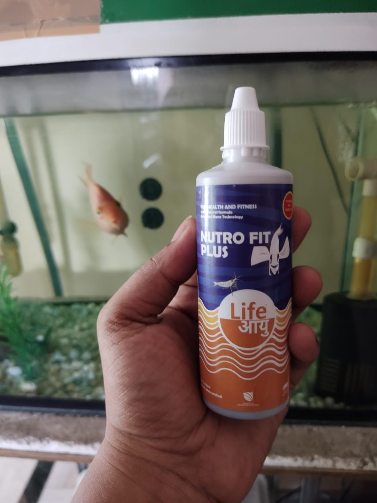 Nutro Plus Fit Fish Food Supplement (100ml) : Amazon.in: Pet Supplies