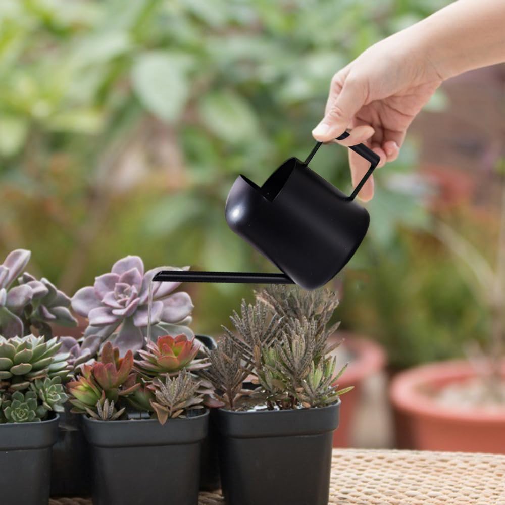 Amazon.com : Preshwous Mini Watering Can, 10oz/300ml Tiny Watering Pot ...