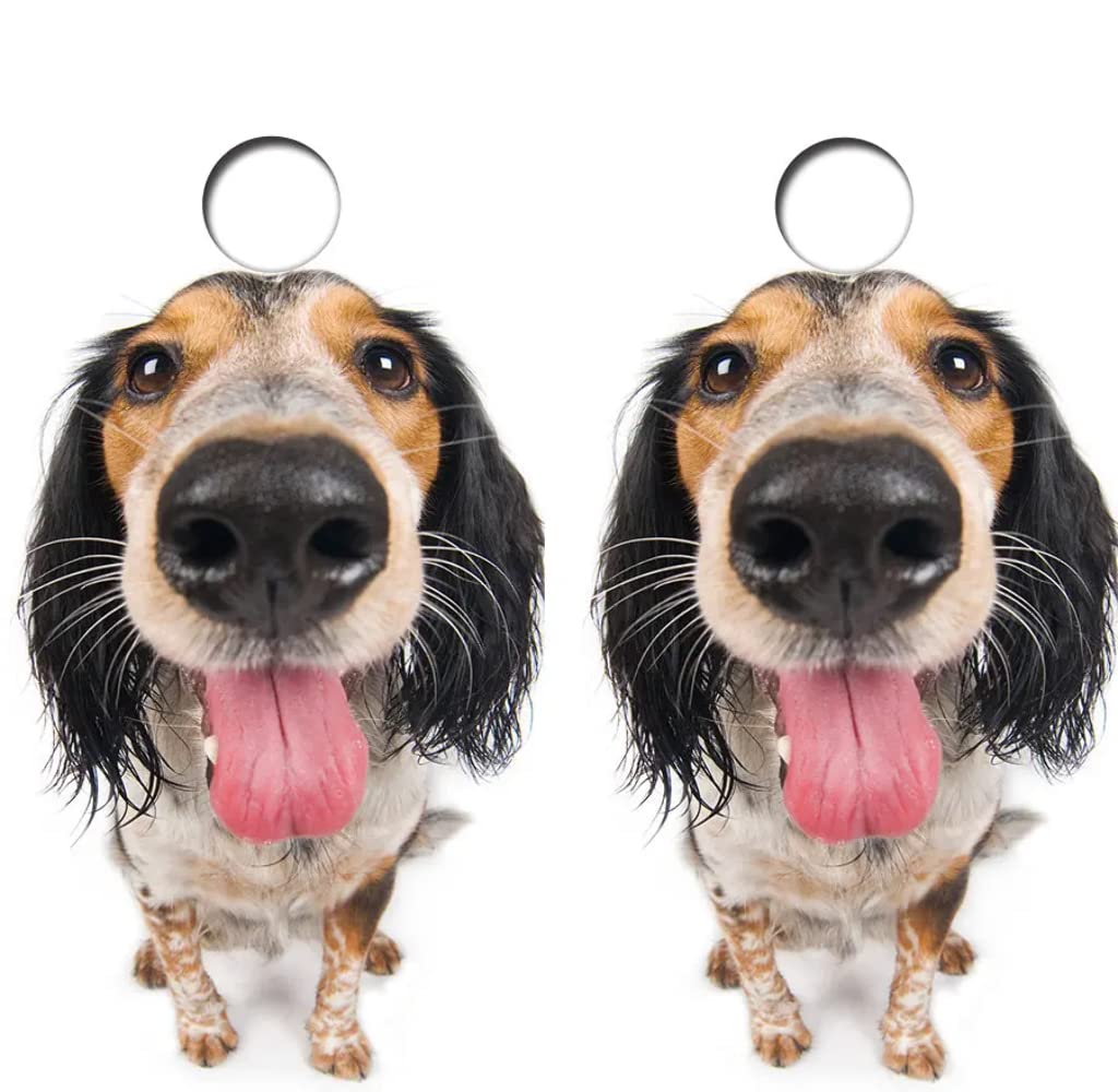 Amazon.com: KT Cornhole Wraps Dog Laminate Cornhole Wood Board Skin ...