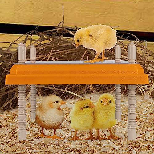Snapklik.com : Brooder Heater Plate 12 X 12, Hens-Like Warmth Heat ...