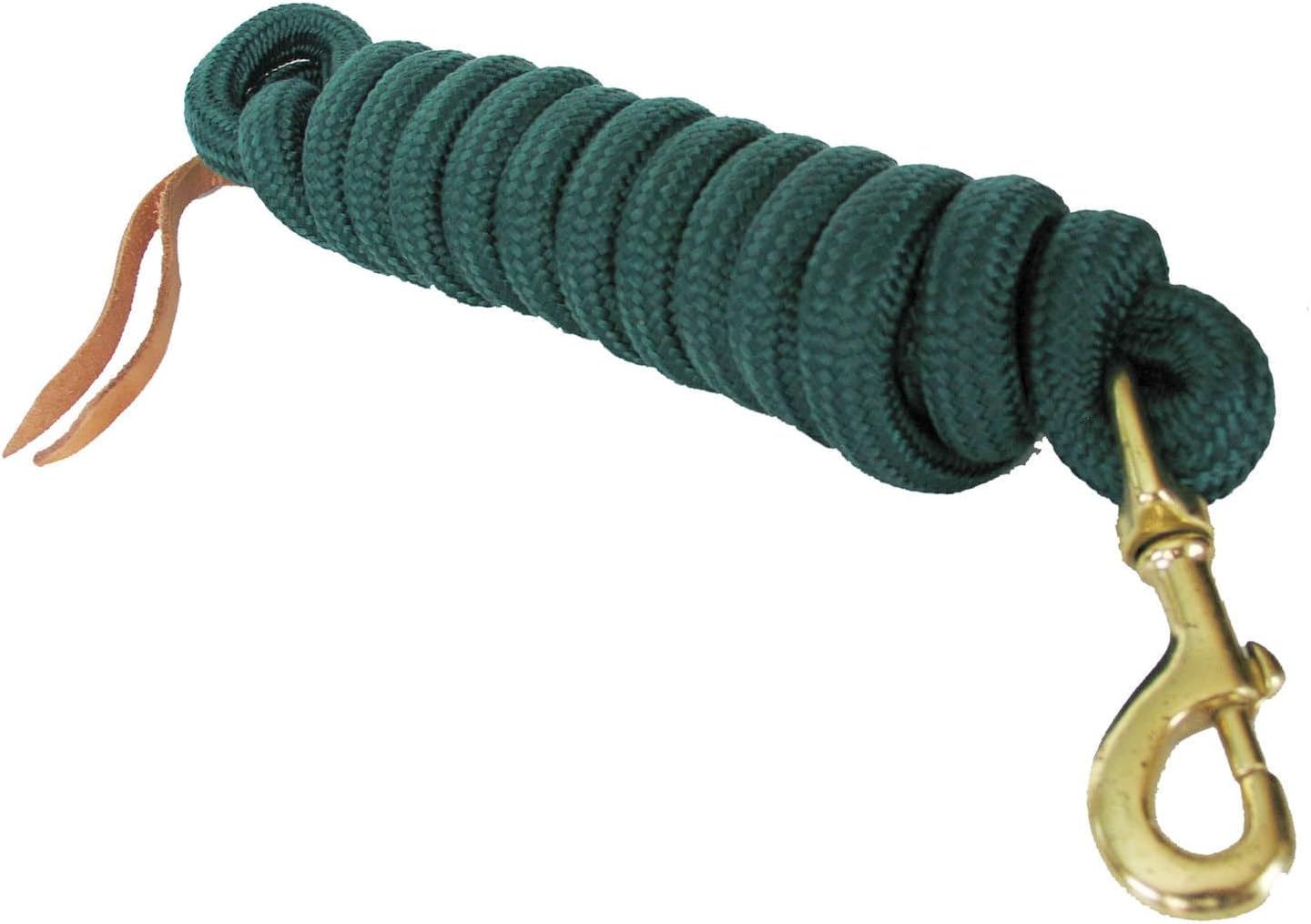 Amazon.com: AJ Tack 9 Foot Nylon Lead Rope with Leather Popper Green ...