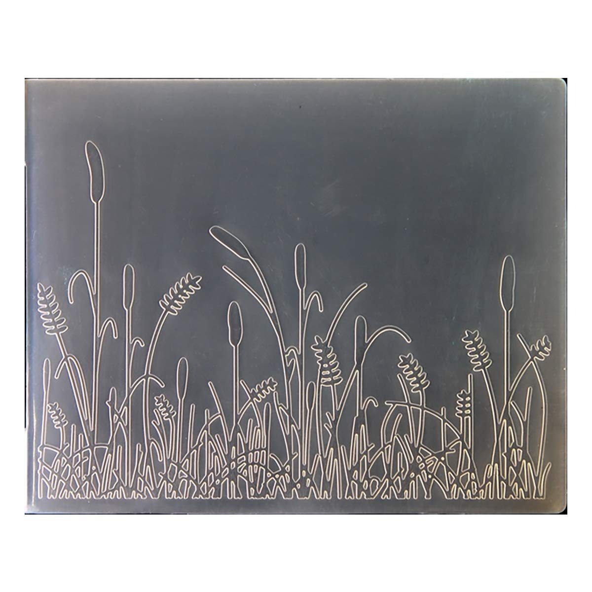 Amazon.com: Kwan Crafts Grass Plastic Embossing Folders for Card Making ...