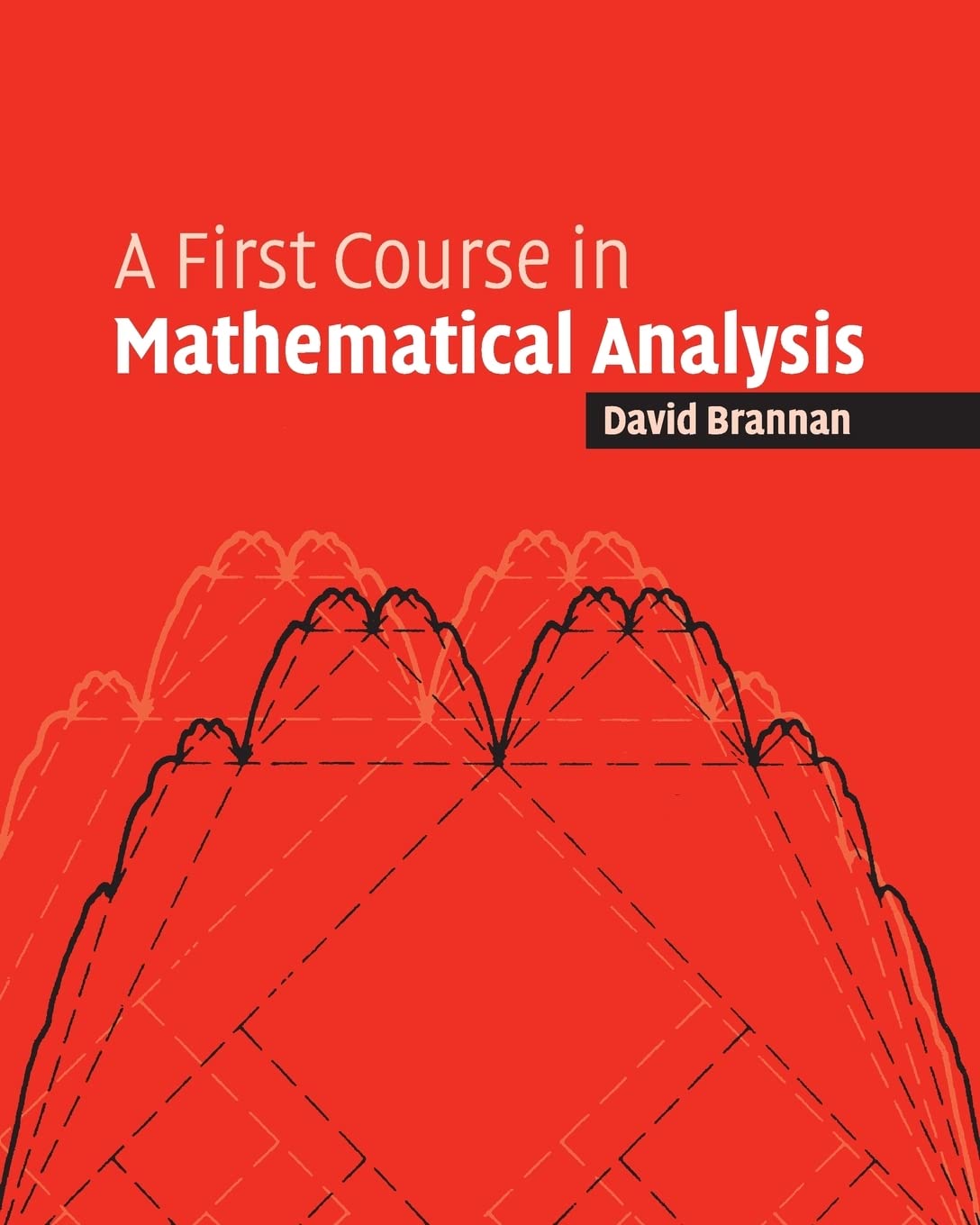 A First Course in Mathematical Analysis: Brannan, David Alexander ...