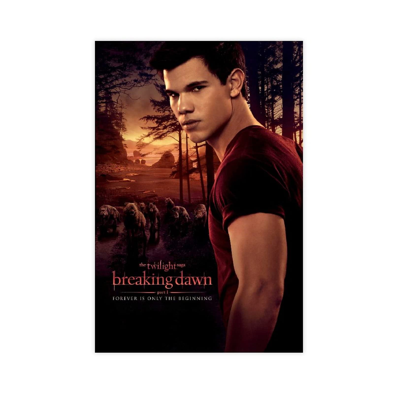 Twilight 2008 Jacob