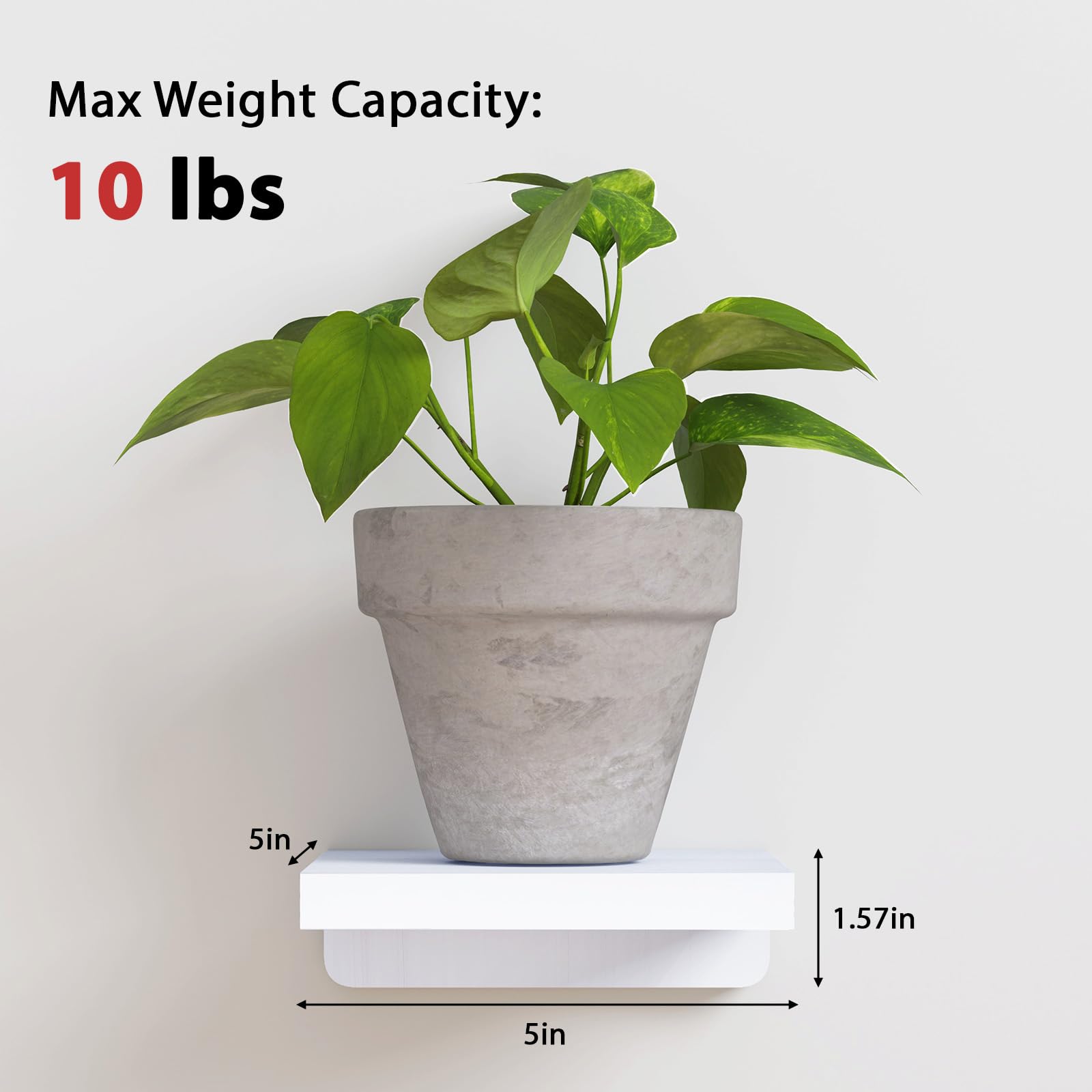 Snapklik.com : Fixwal Small Floating Shelves, 5X5 Inches Wall Shelf Set ...