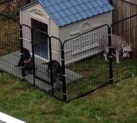 Amazon.com: Kennel Deck : Pet Supplies