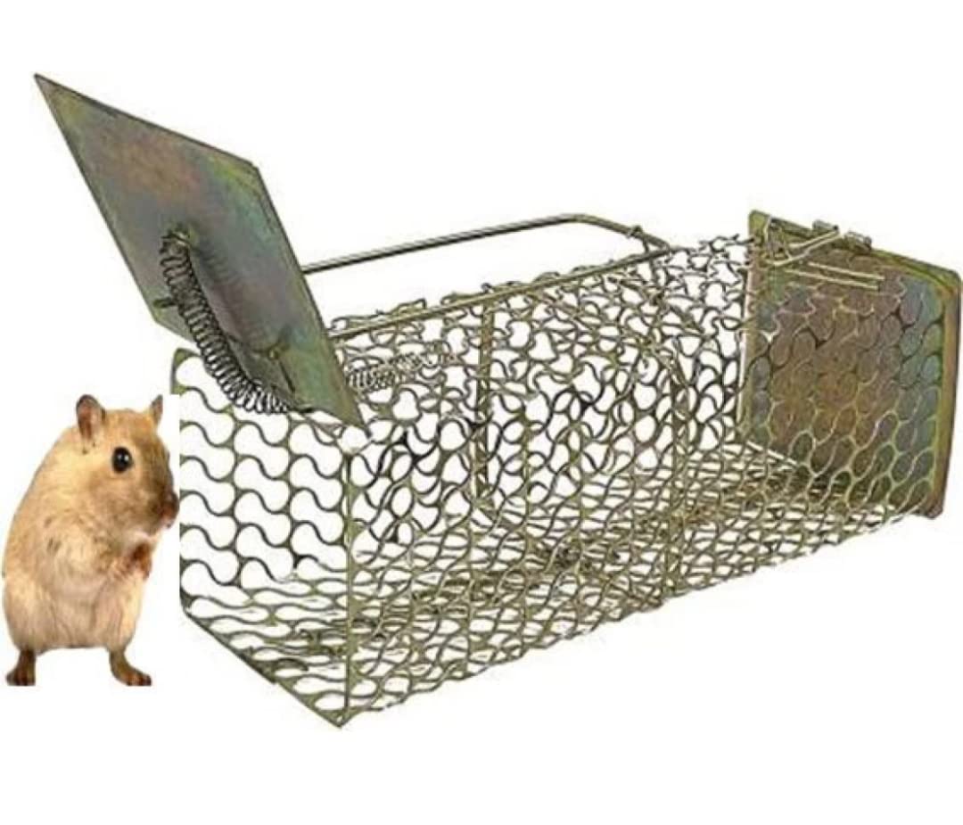 MorningVale ® Rat/Mouse/Rodent Small Trap Cage Rustic Copper (Chain ...