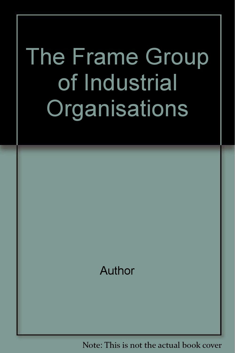 The Frame Group of Industrial Organisations: Unknown: Amazon.com: Books