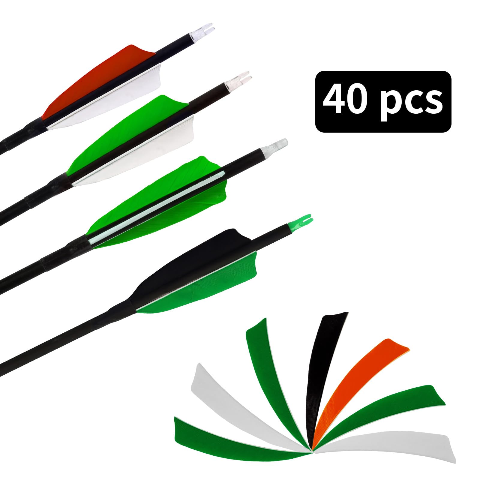 Snapklik.com : SPG 4 Inch Real Arrow Feathers - Shield Cut Feather ...