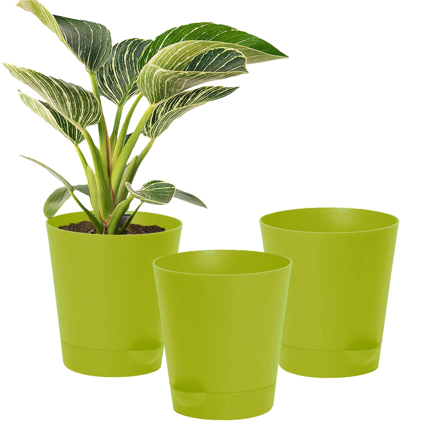 Kuber Industries Plastic Titan Pot|Garden Container for Plants ...