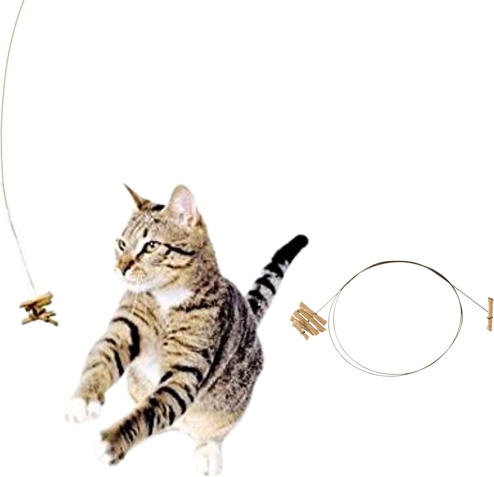 Pet Supplies : Cat Dancer-Cat Charmer Wand,Teaser-Cat & Kitten Toy ...