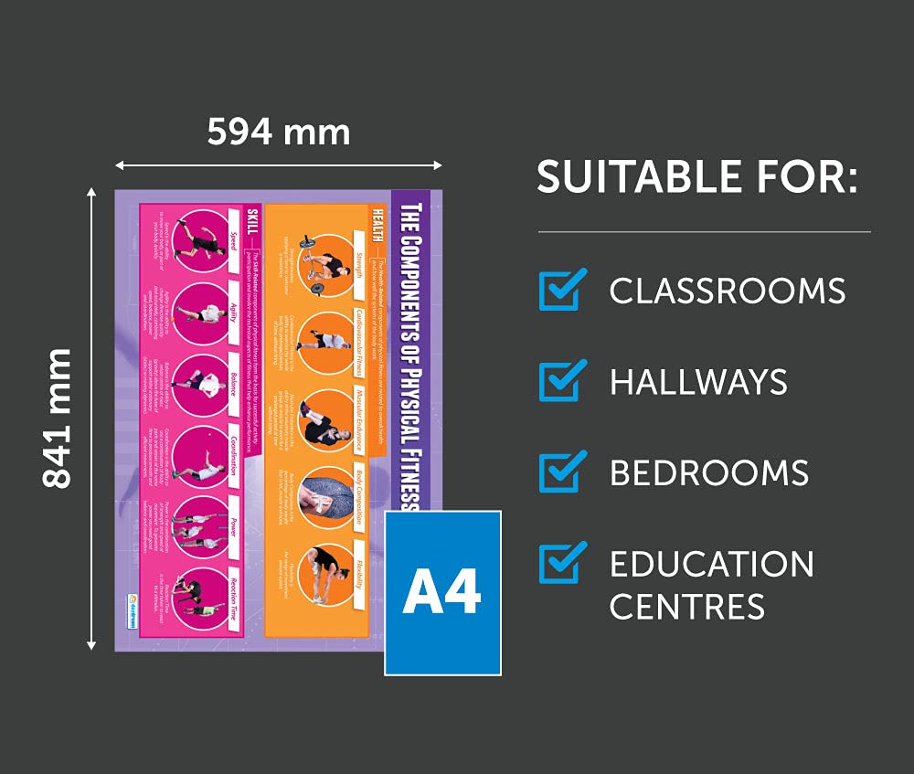 Components Of Physical Fitness PE Posters Laminated Gloss Paper