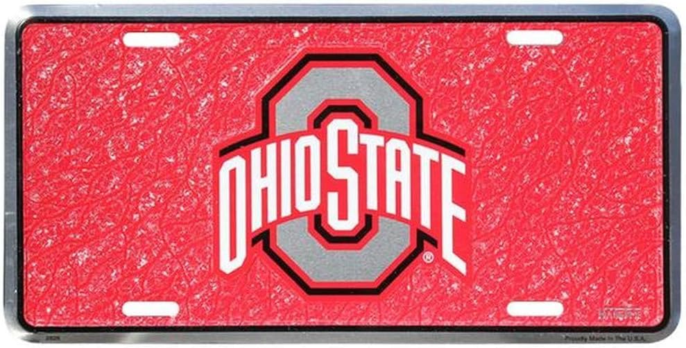 Amazon.com: HangTime Ohio State University - Ohio Buckeyes Mosaic ...