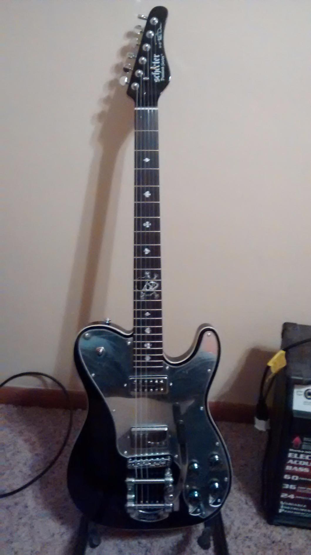 Amazon.com: Schecter Electric Guitar - Pete Dee Artist Model : Musical ...