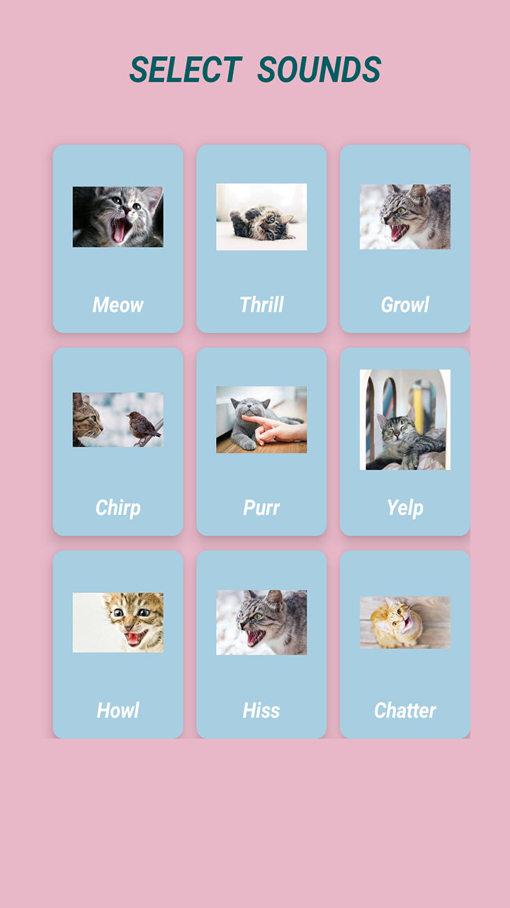 Pet Translator - Meow Talk prank - App on the Amazon Appstore