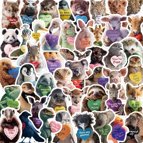 Amazon.com: 61Pcs Texas Stickers Pack, State Map Flag Graphics Vinyl ...