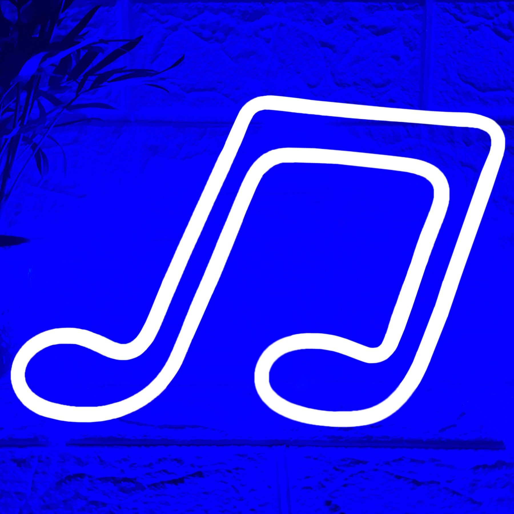 Amazon.com : HOHOSIGN Music Neon Sign Music Notes Neon Sign Decorations ...