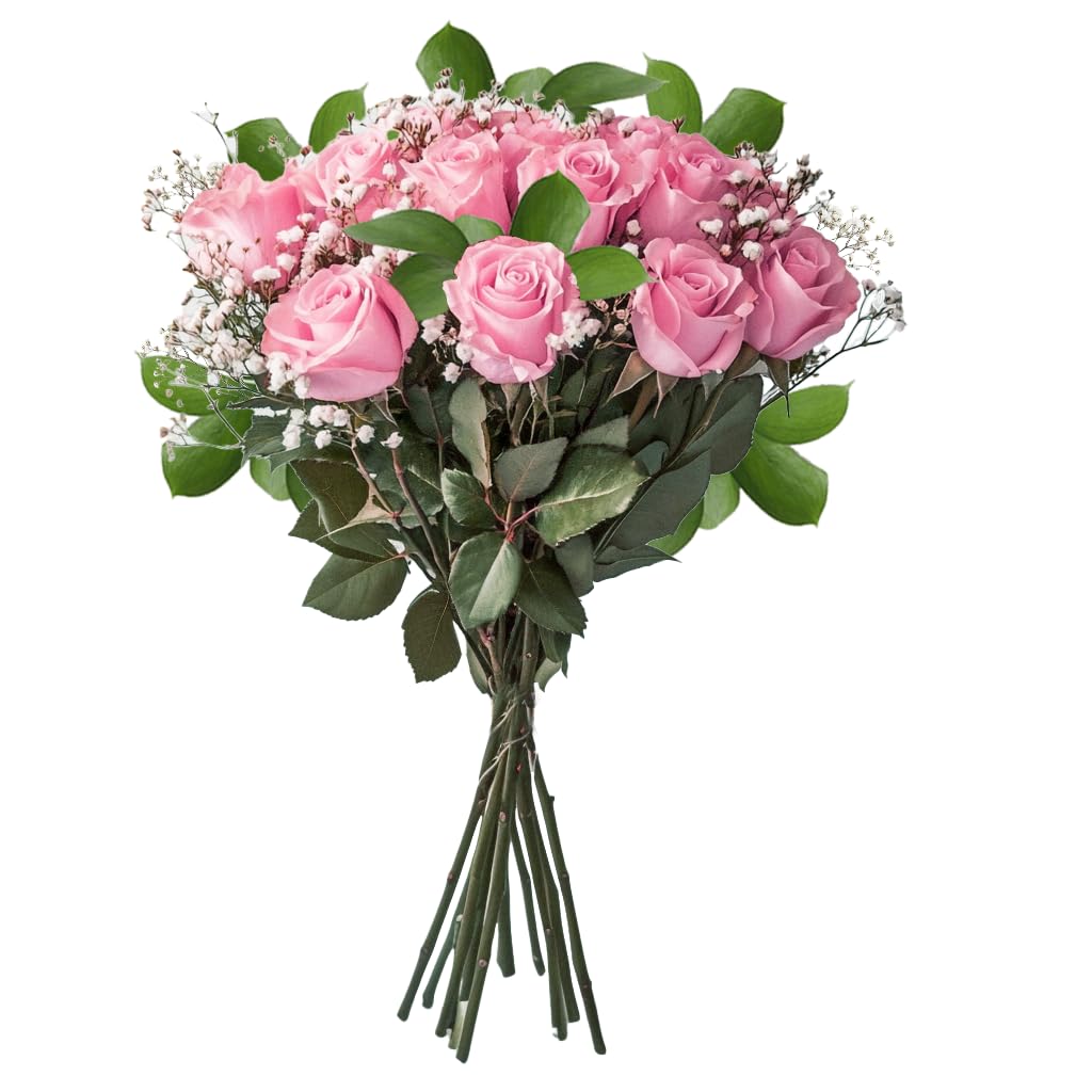 Amazon.com : 1 Dozen Pink Roses & Fillers - Fresh Cut Flowers- Lovely ...