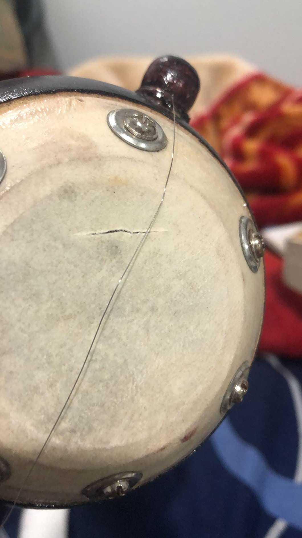 Muteyaar Tumbi Iktara Punjabi Traditional Indigenous Musical Instrument ...