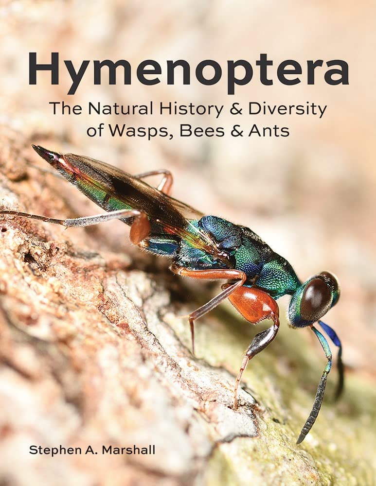 Hymenoptera: The Natural History and Diversity of Wasps, Bees and Ants: Marshall, Stephen A ...