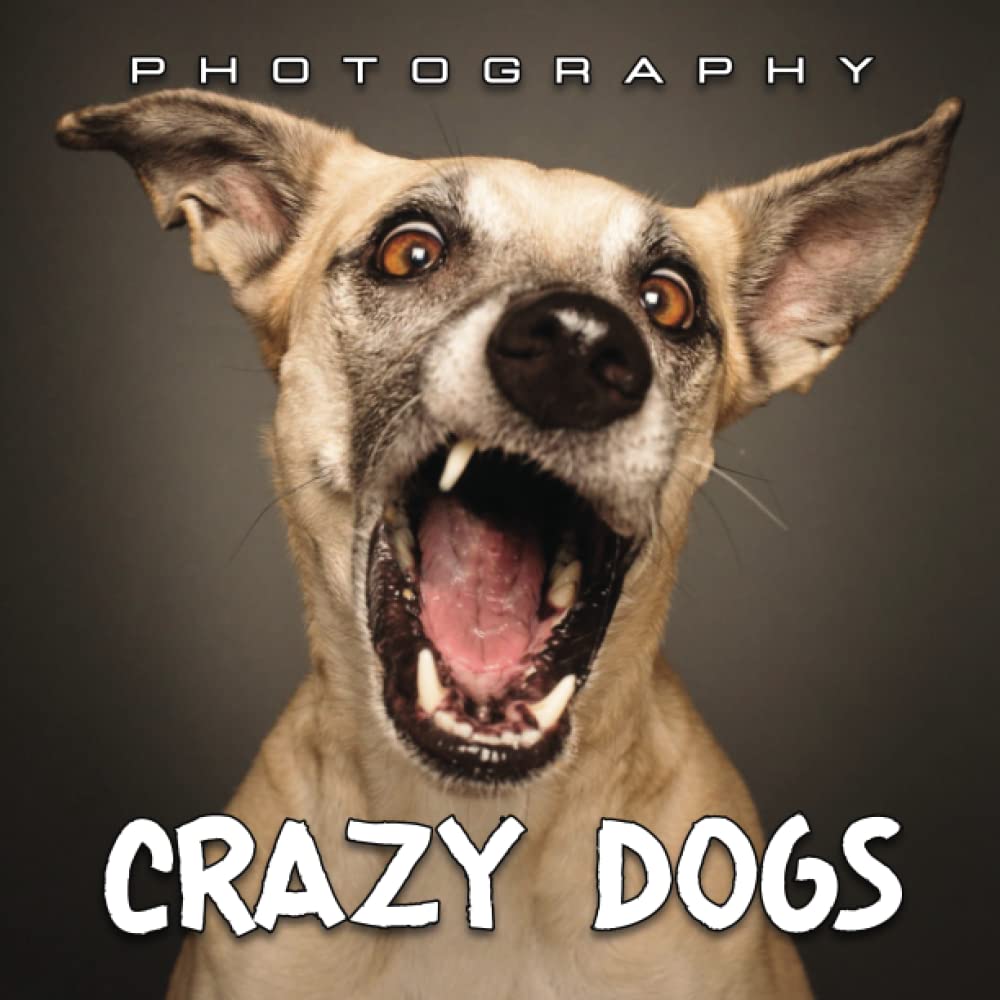 Crazy Dog Photography 20,000+ Crazy Dog Stock Photos, Pictures