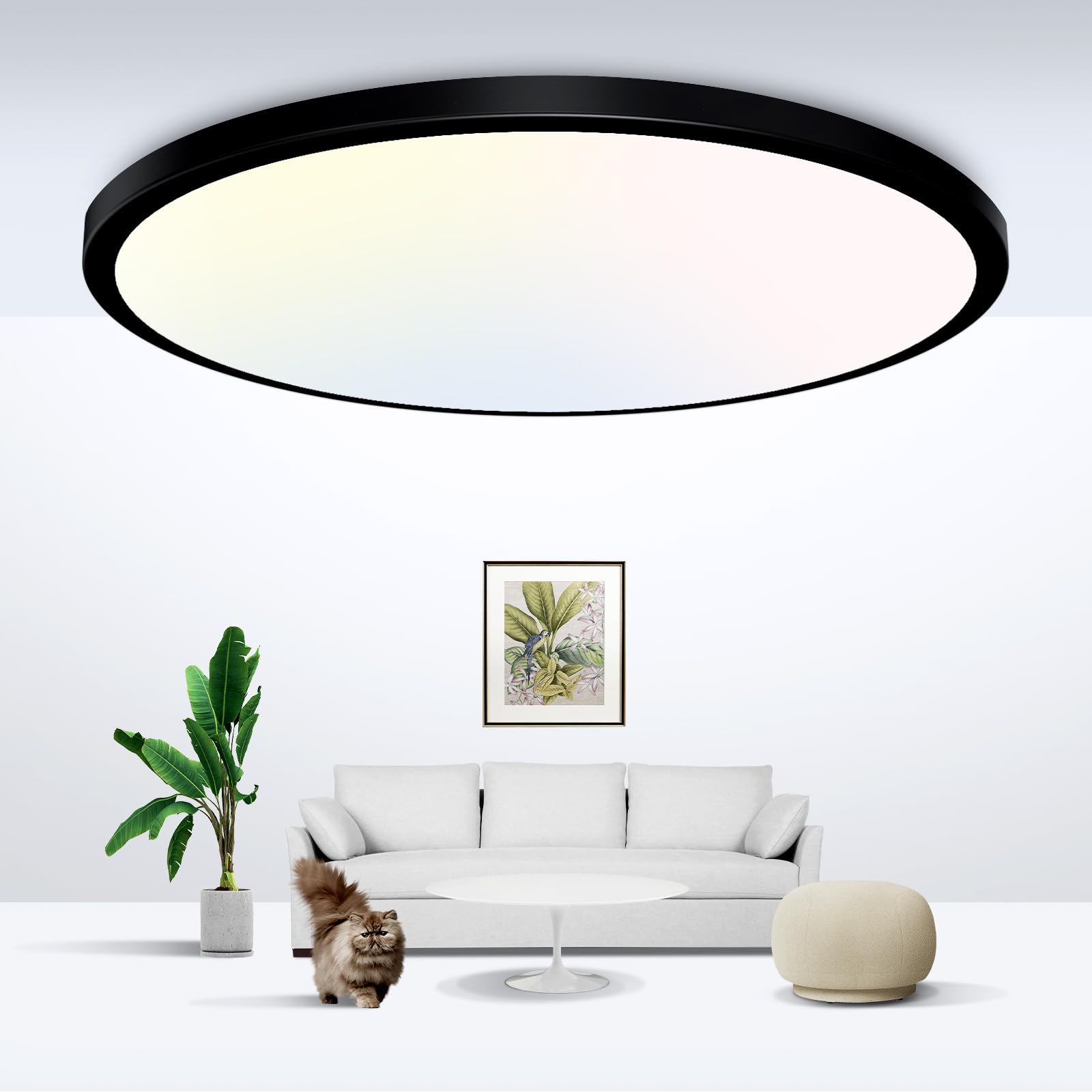 Zemty 12 Inch LED Flush Mount Ceiling Light Fixtures, Zemty 28W 3200lm ...