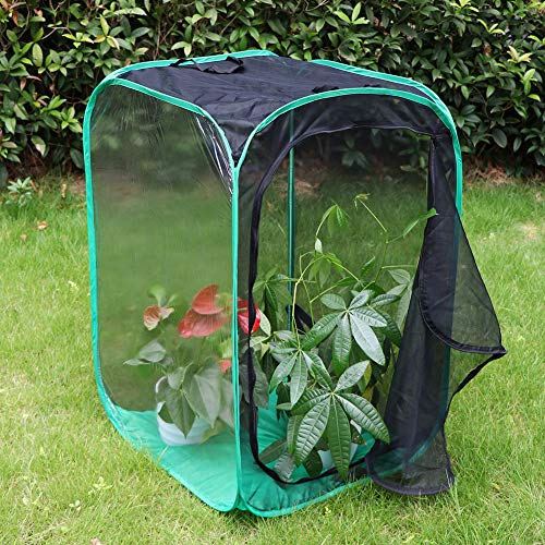 Snapklik.com : RESTCLOUD 36 Large Monarch Butterfly Habitat
