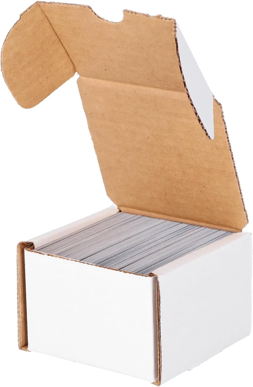 Amazon.com: BCW 200-Count Storage Box for Standard 20pt Trading Cards ...