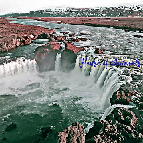 Play House of Animals by Emma Austin on Amazon Music Unlimited ...