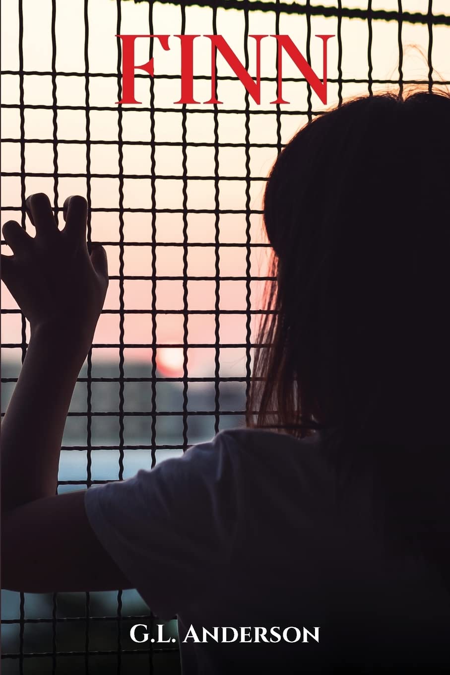Amazon.com: Finn: 9781088045756: Anderson, Gl: Books