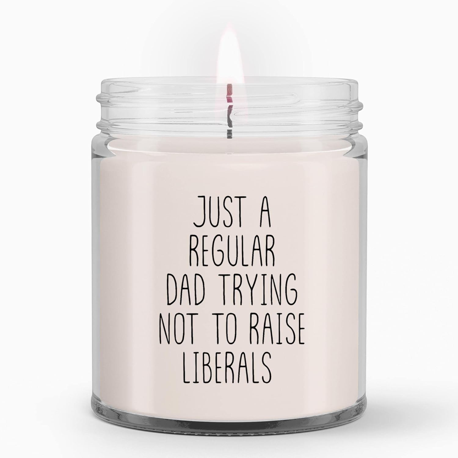 Amazon.com: LaPomme Just A Regular Dad Trying Not to Raise Liberals ...