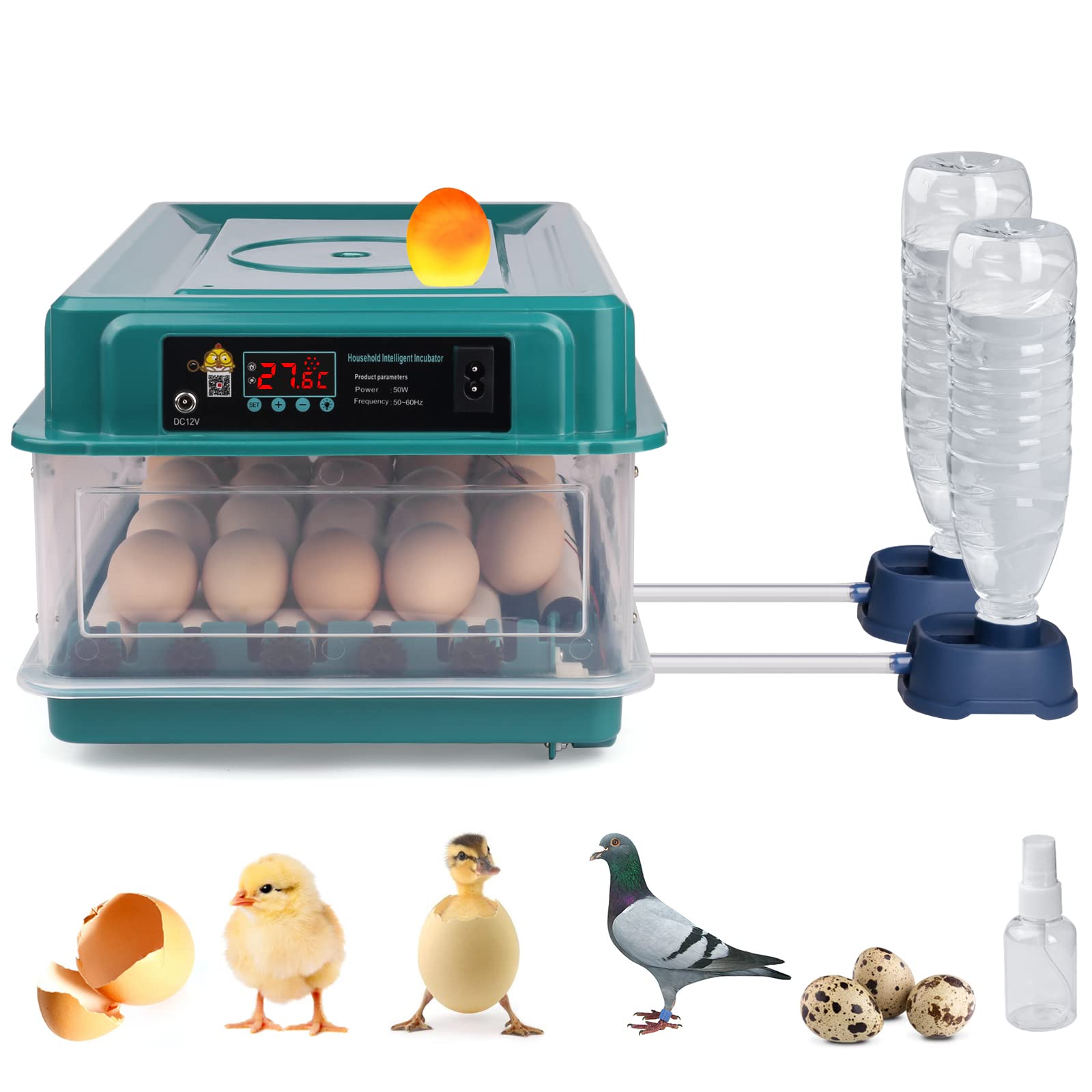 Amazon.com: Automatic Intelligent Incubators for Hatching Eggs, Upgrade ...