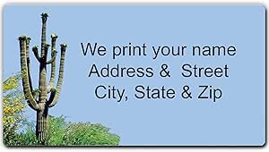 Amazon.com : Stonehouse Collection Cactus Address Labels, Desert ...