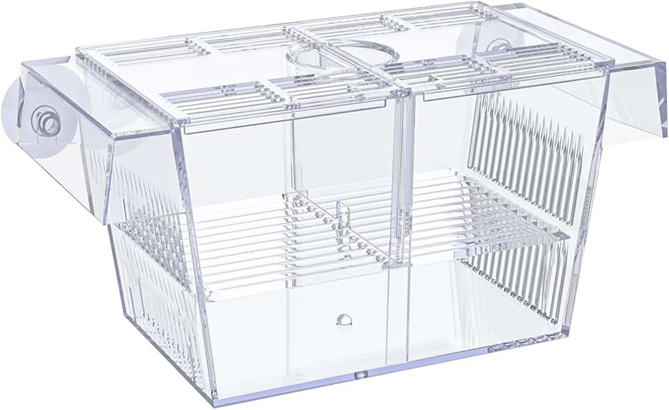 Amazon.com: Fish Breeding Tanks - Fish Breeding Tanks / Fish & Aquatic ...