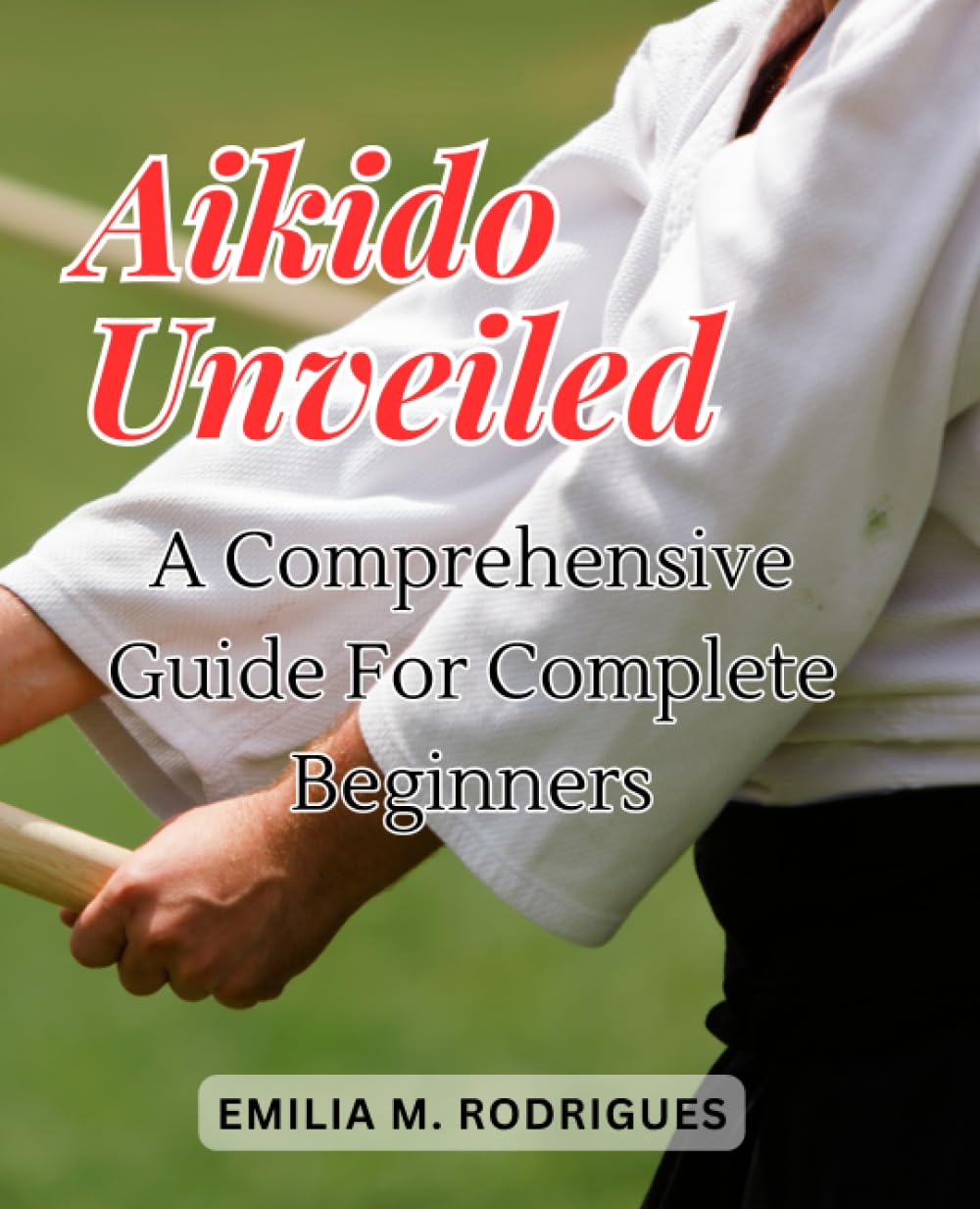 Aikido Unveiled: A Comprehensive Guide for Complete Beginners: Embark ...