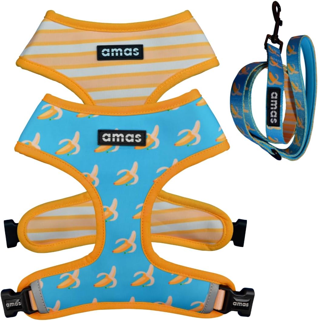 Amazon.com: AMAS Cute Reversible Dog Harness and Leash Set, Soft and ...