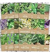 Amazon.com : Organic Summer Seeds Variety Pack - 12 Individual Packs ...