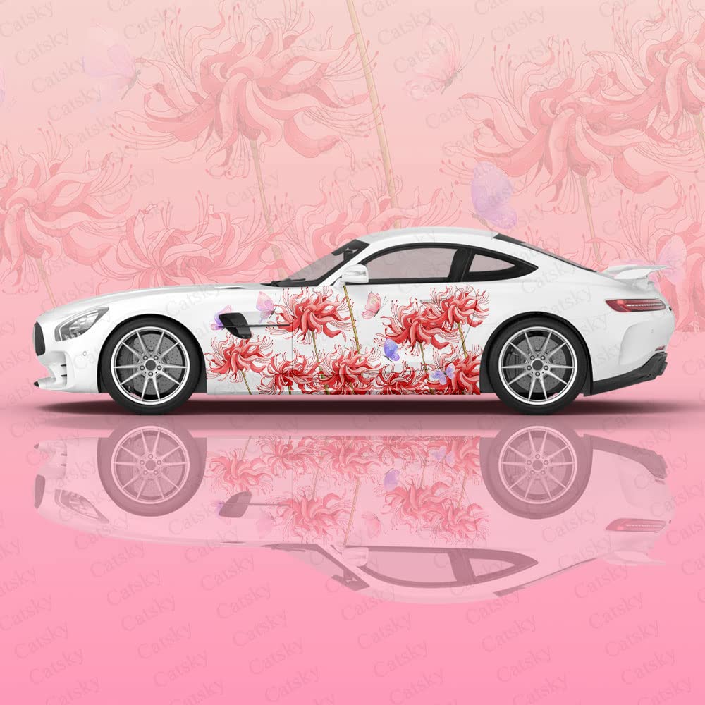 Spider Car Graphics