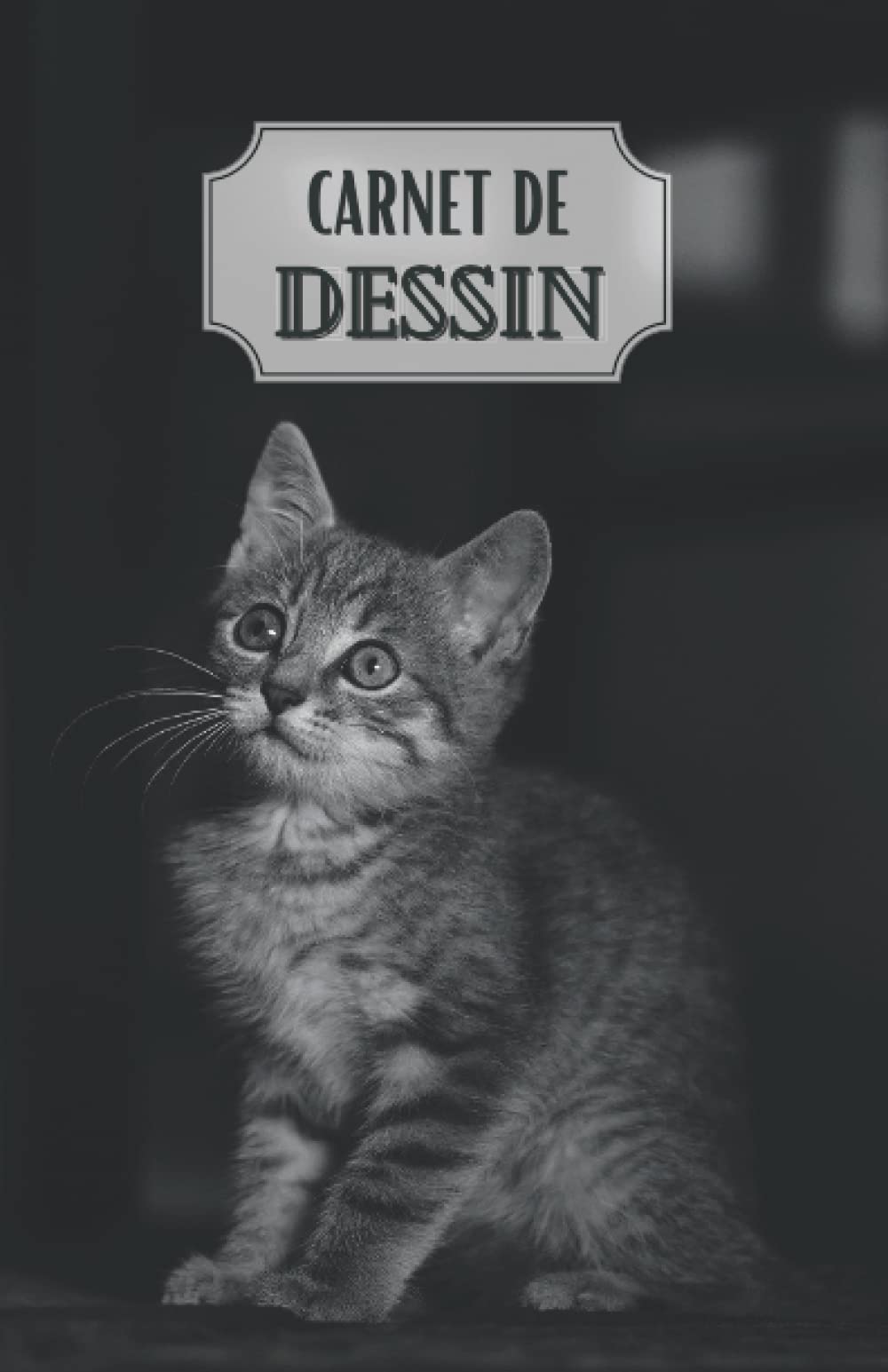 Cahier De Dessin Carnet De Dessin Pour Ado Et Adulte | Desertcart Ireland