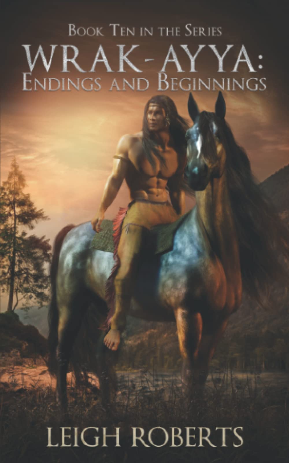 Endings and Beginnings: Wrak-Ayya: The Age of Shadows Book 10 (The ...
